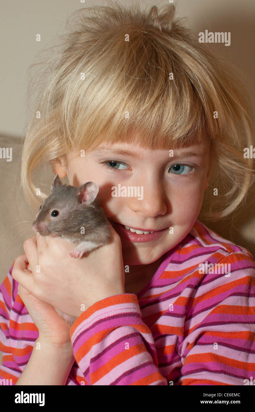 child playing with hamster, england,uk,europe Stock Photo - Alamy