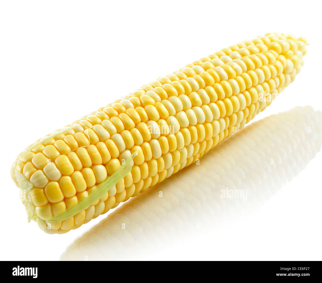 Raw corn cob hi-res stock photography and images - Alamy