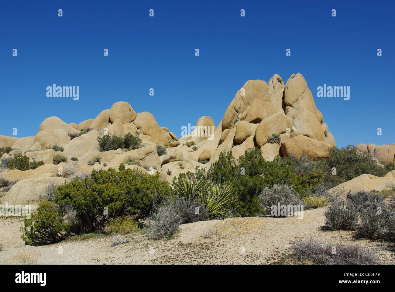 Formation of plants hi-res stock photography and images - Alamy