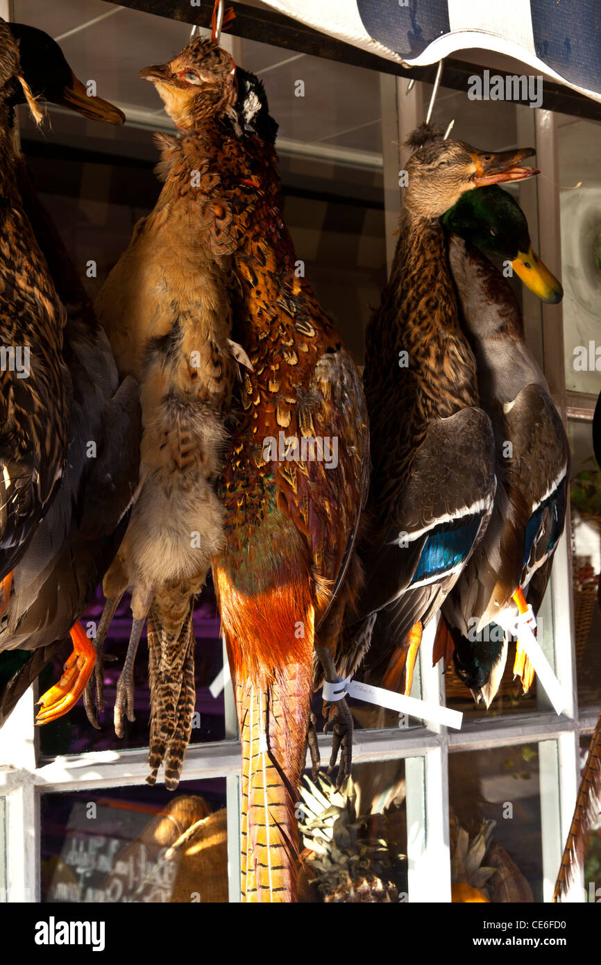 Game Hanging Outside a Butchers Shop Stock Photo - Alamy