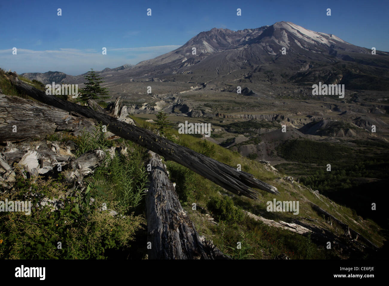 Mount saint helens damage hi-res stock photography and images - Alamy