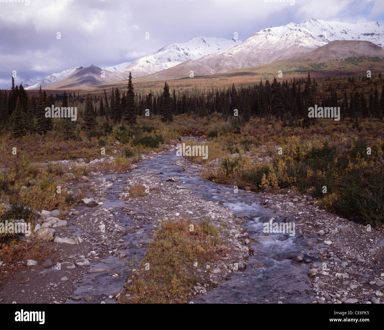 USA, Alaska, Rock Creek, Denali National Park Stock Photo - Alamy