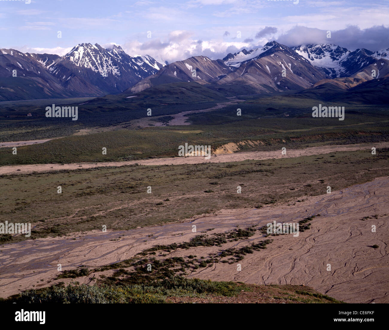 USA, Alaska, Polychrome Pass, Denali National Park Stock Photo - Alamy