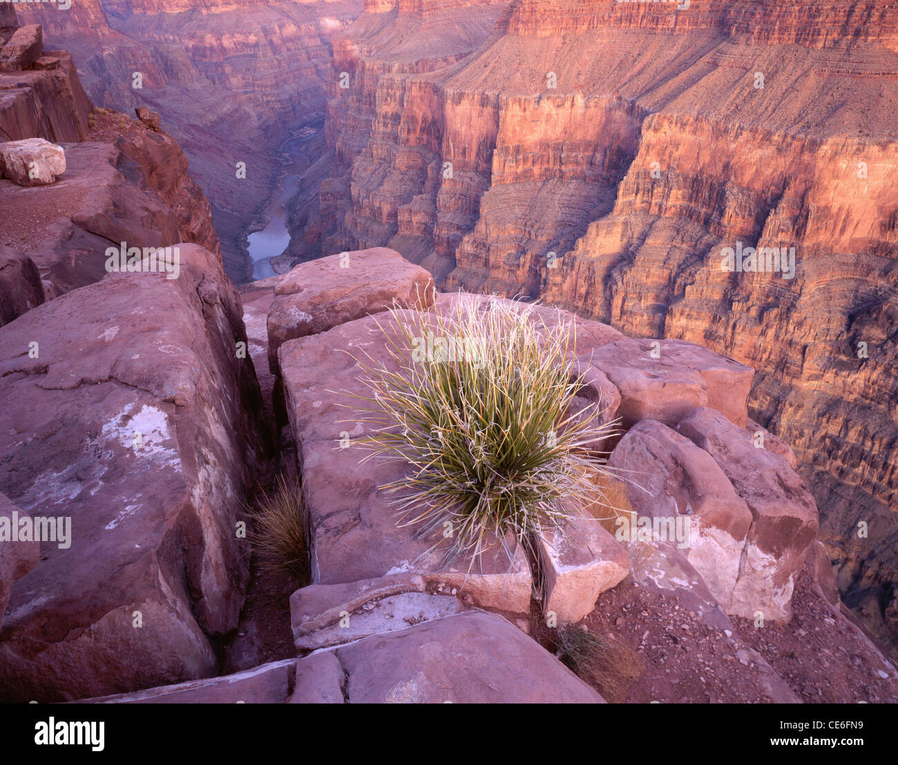 Tuweep overlook hi-res stock photography and images - Alamy