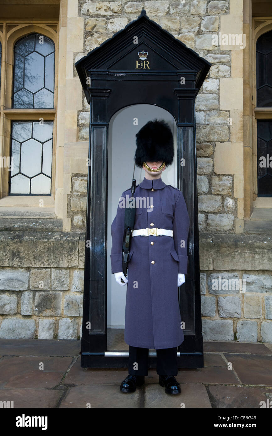 Soldier / Sentry (a member of The Irish Guards regiment) on guard (with ...
