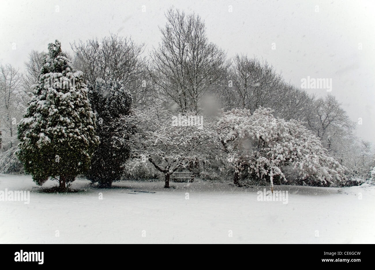 Heavy snow snowfall on pretty trees and benches in Park, Brighton, UK ...