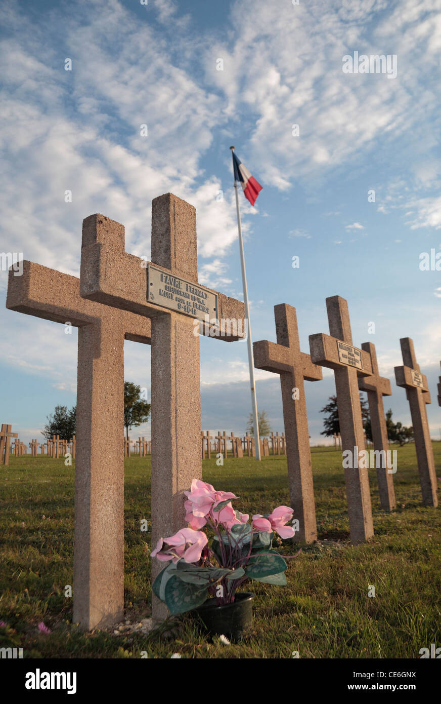 Rows of crosses with the French tricolor behind at the French National ...