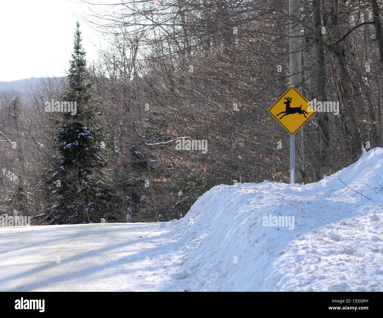 deer road sign Stock Photo - Alamy