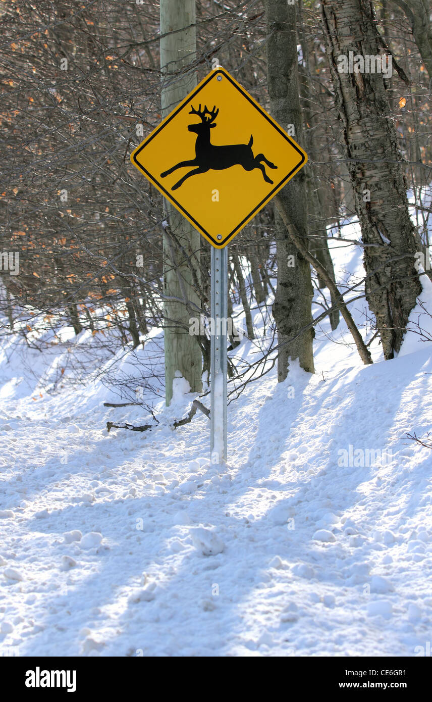 deer road sign Stock Photo - Alamy