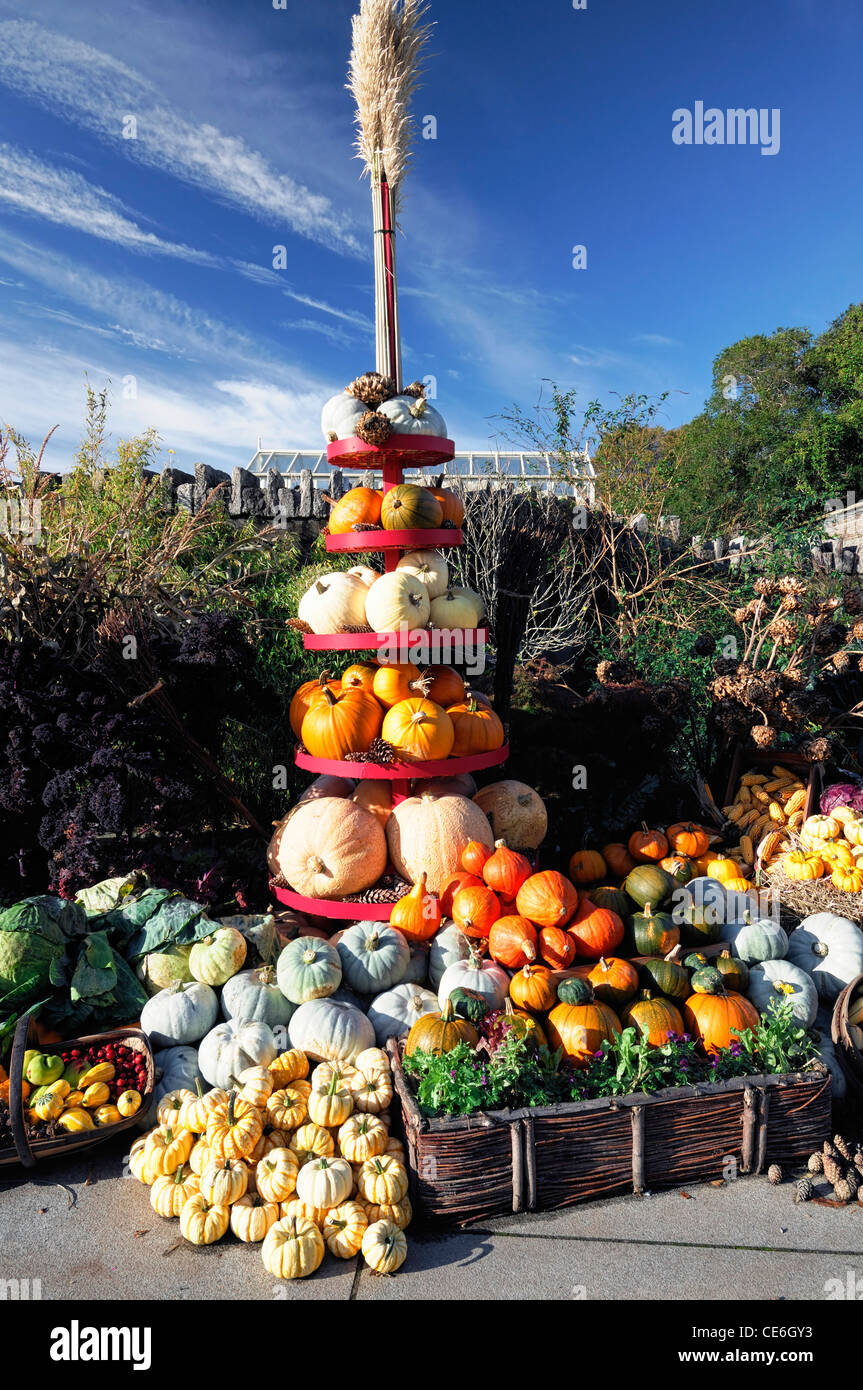autumn autumnal fall harvest food edible garden crop crops display ...