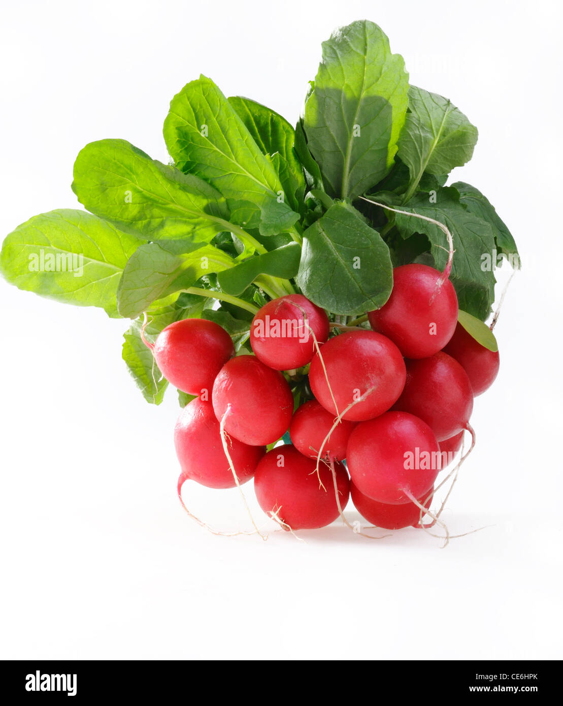 Bunch of radishes Stock Photo - Alamy