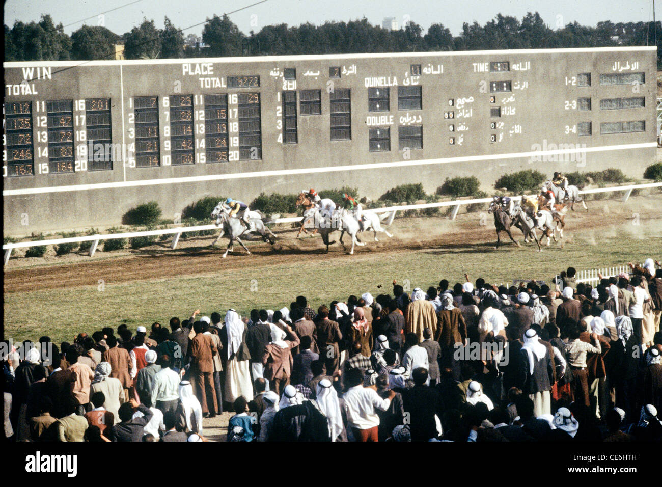 1970s Horse Racing High Resolution Stock Photography and Images - Alamy