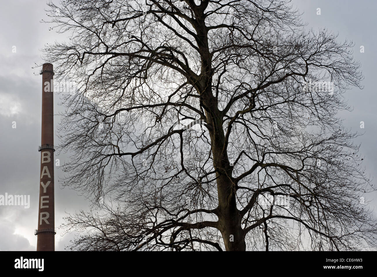 Bayer factory Germany Stock Photo - Alamy