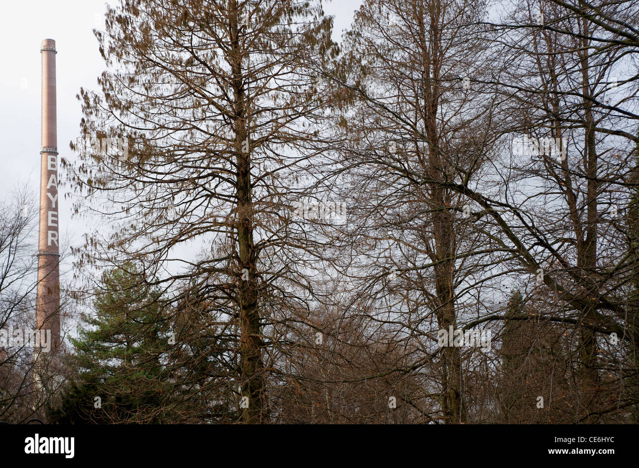 Bayer factory Germany Stock Photo - Alamy