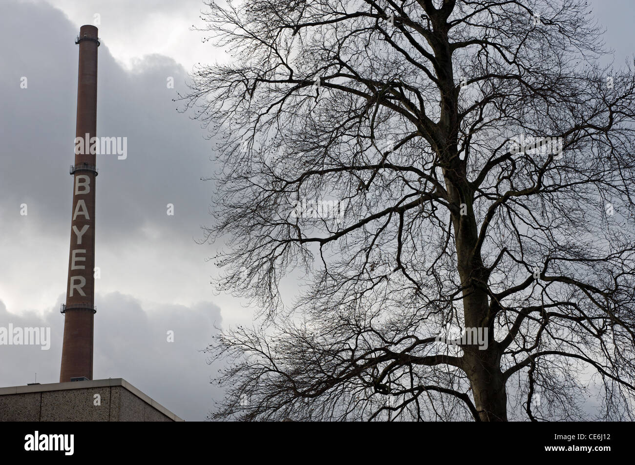 Bayer factory Germany Stock Photo - Alamy