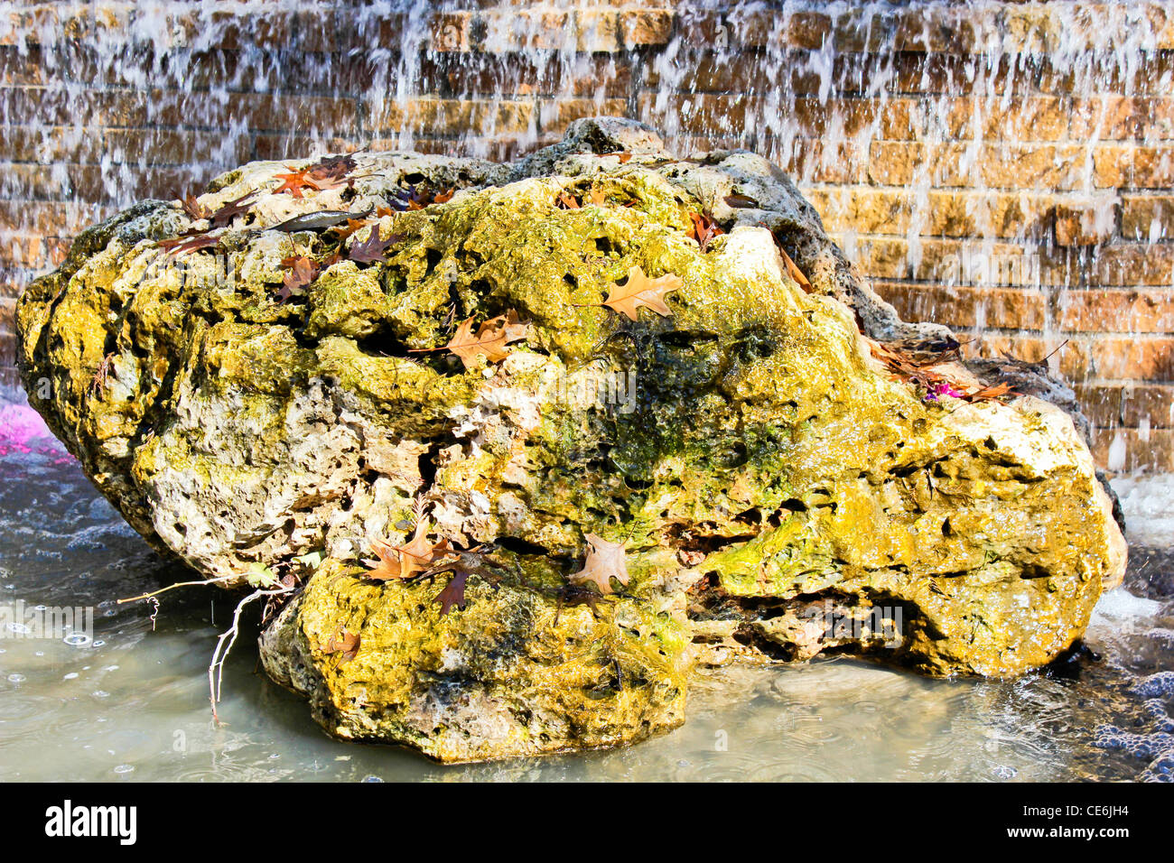 Aging rock beneath waterfall, filled with twigs and lichen Stock Photo ...