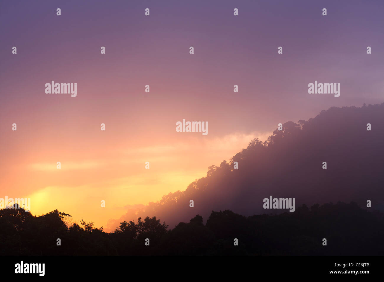 Jungles rainforests sunset hi-res stock photography and images - Alamy