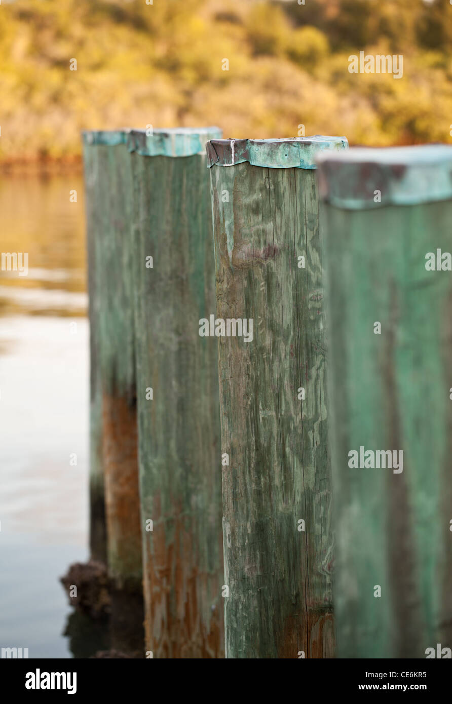 Row of Wooden Pylons Stock Photo - Alamy
