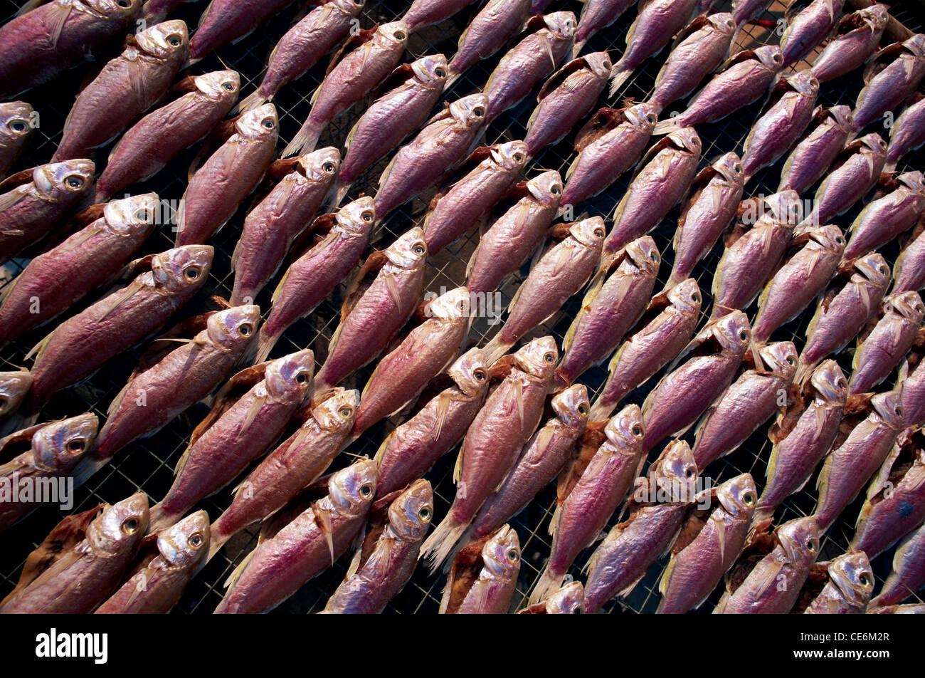 China,Hong Kong,Cheung Chau Island,Drying Fish Stock Photo - Alamy