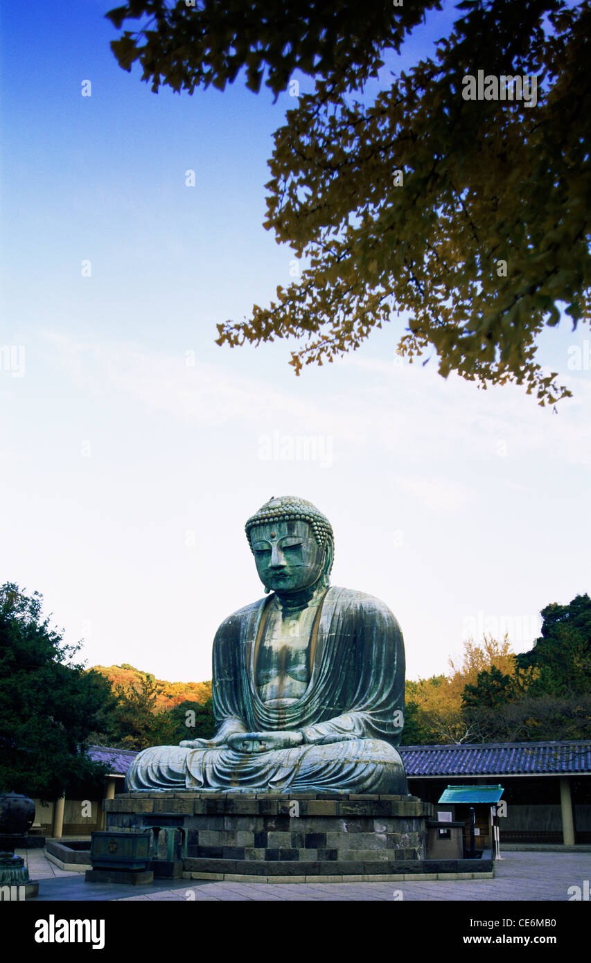 Japan,Tokyo,Kamakura,Daibutsu,The Great Buddha with Autumn Leaves Stock ...