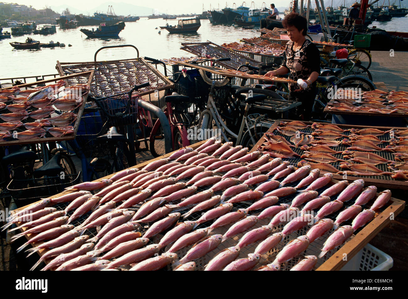 China,Hong Kong,Cheung Chau Island,Drying Fish Stock Photo - Alamy