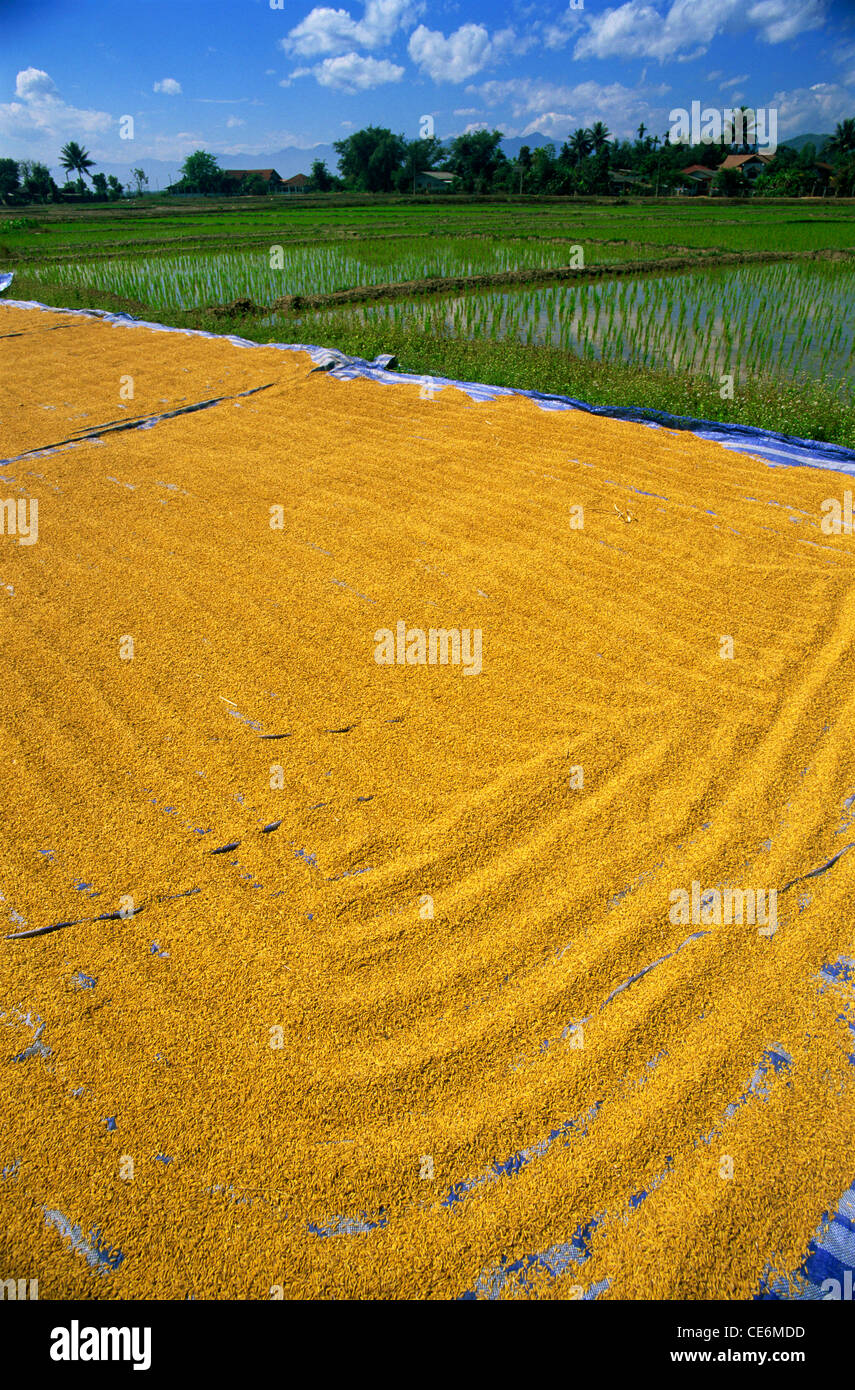 Northern thailand traditional fishing hi-res stock photography and ...