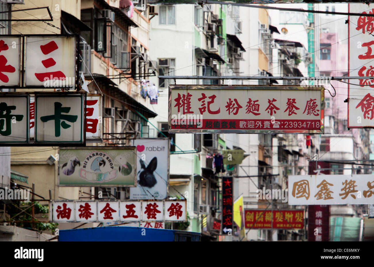 Chinese signs hanging above busy street Stock Photo - Alamy