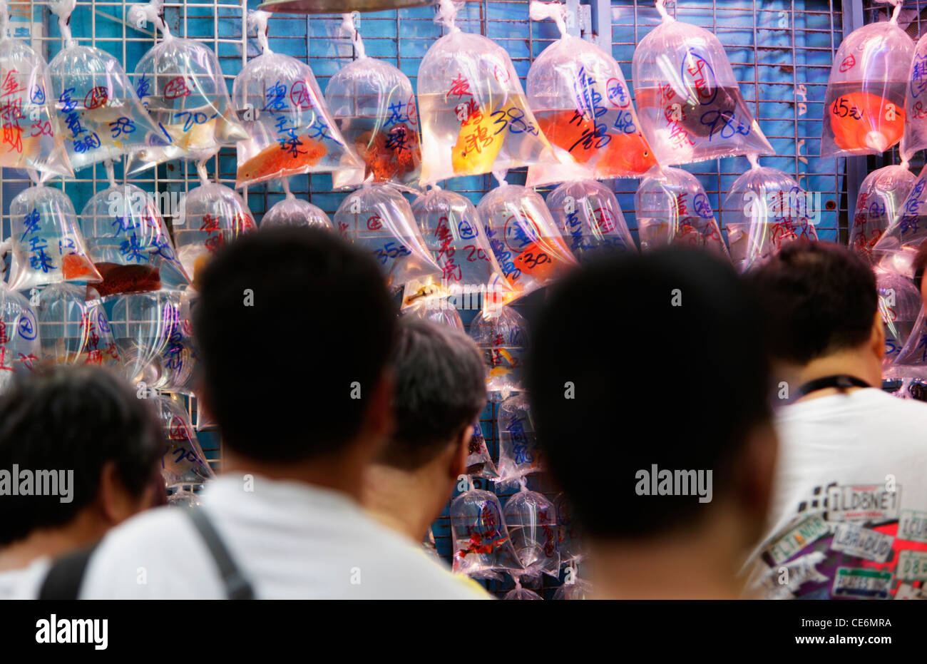 Different colored hi-res stock photography and images - Alamy