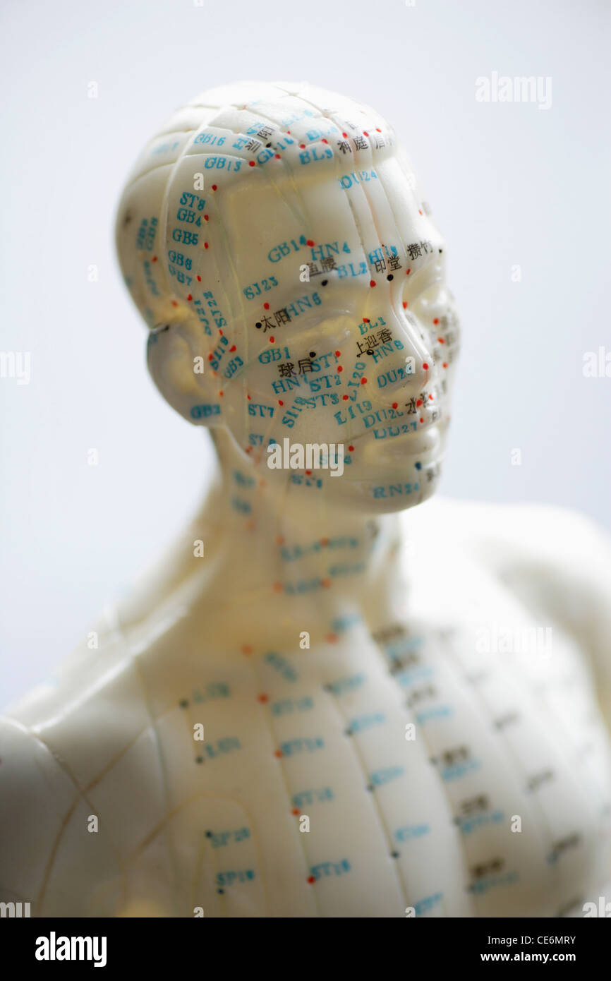 Acupuncture model hi-res stock photography and images - Alamy