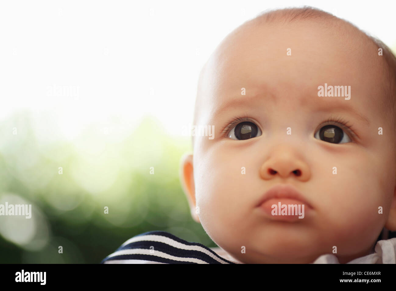 head shot of mixed raced baby Stock Photo - Alamy