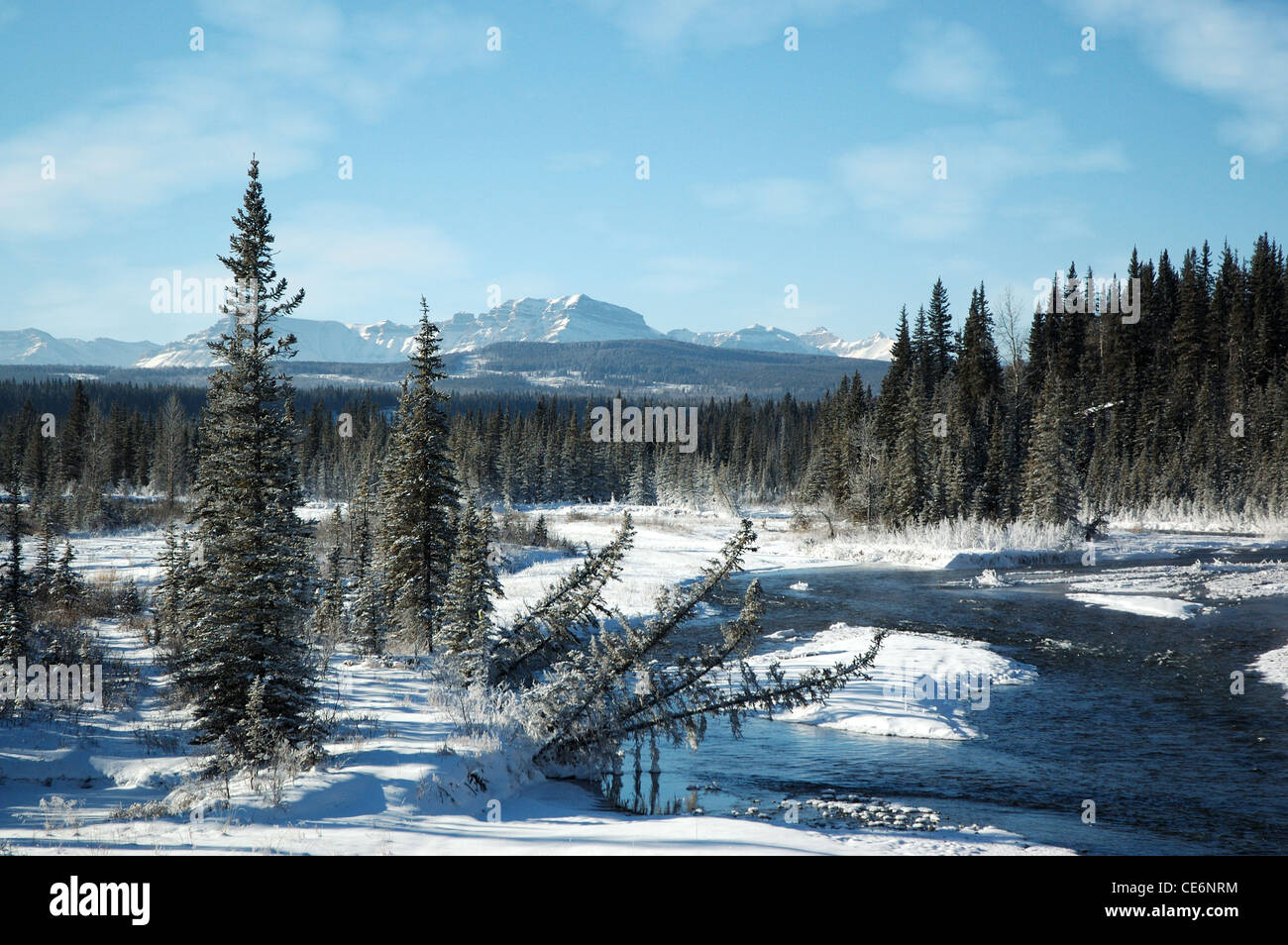 Calgary art scene hi-res stock photography and images - Alamy