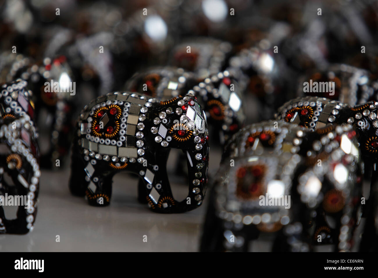 Elephant with mirror hi-res stock photography and images - Alamy