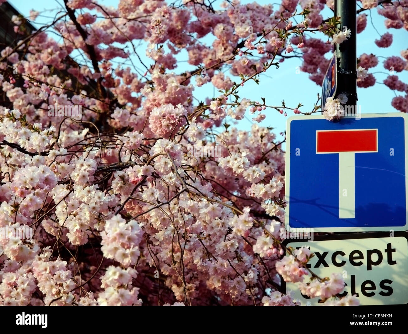 Dead end traffic sign hi-res stock photography and images - Alamy