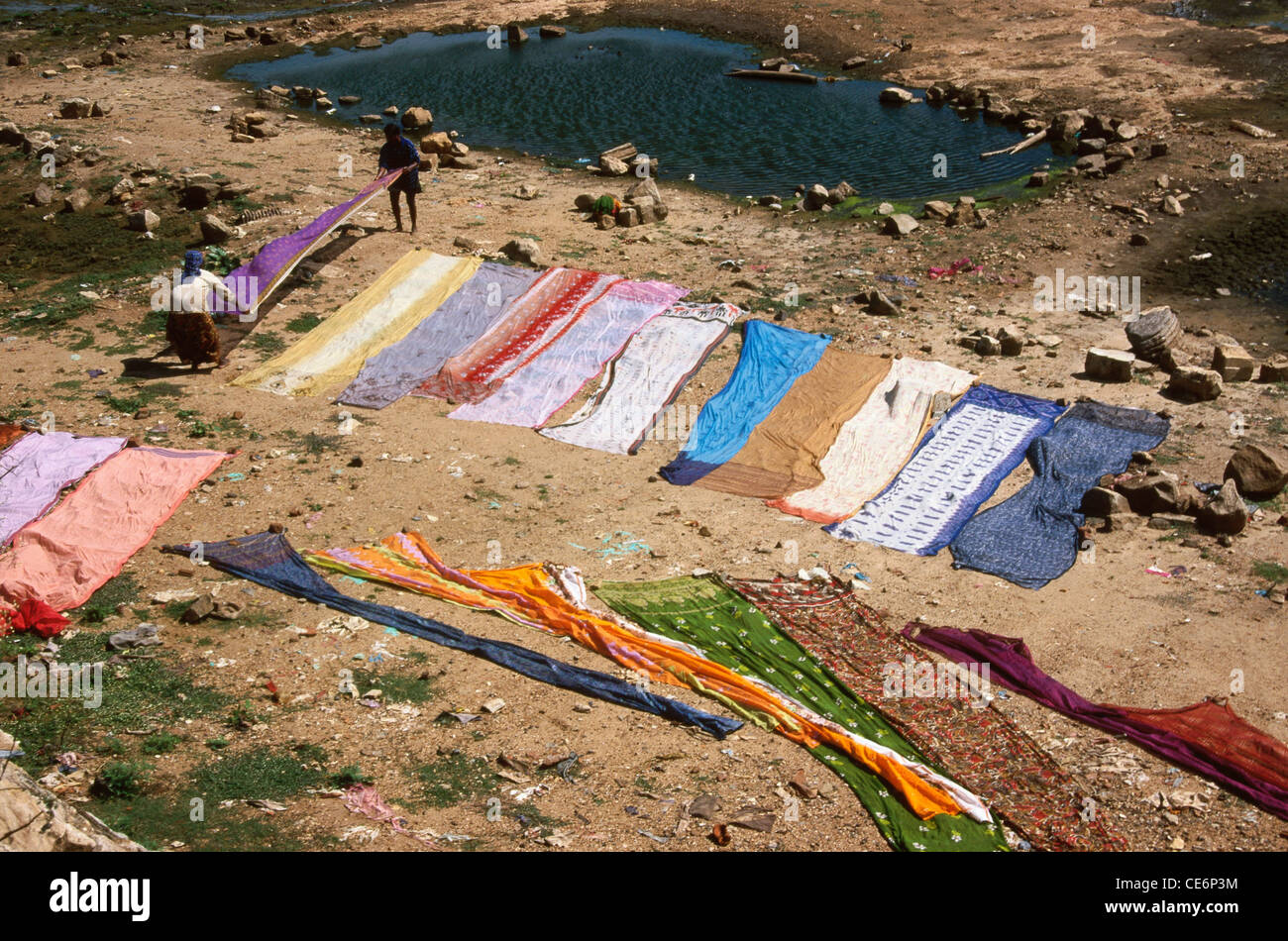 Indian laundry clothes sarees drying near pond ; kerala ; India ; asia ...
