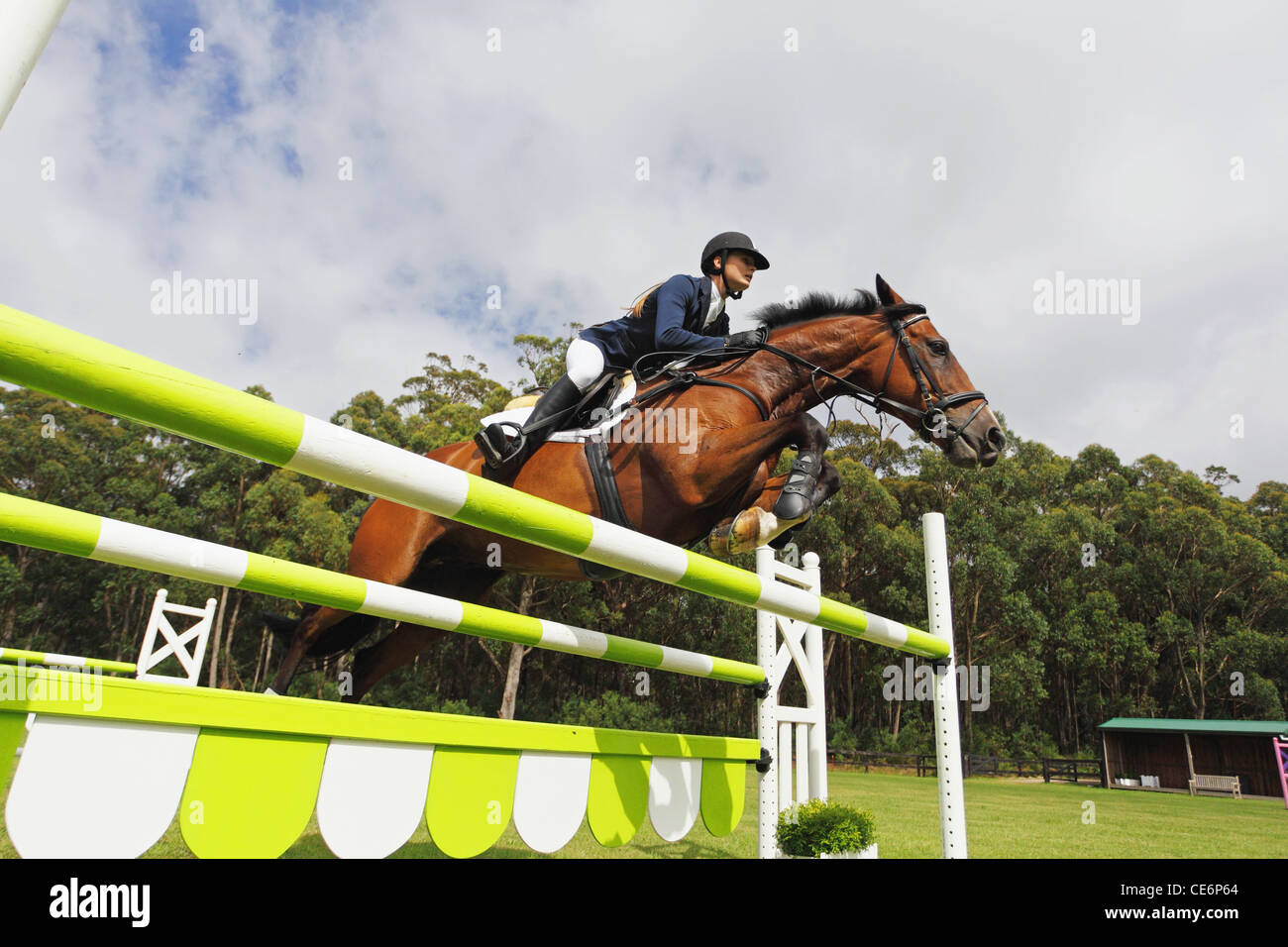 Female Rider Jumping Horse High Resolution Stock Photography and Images ...