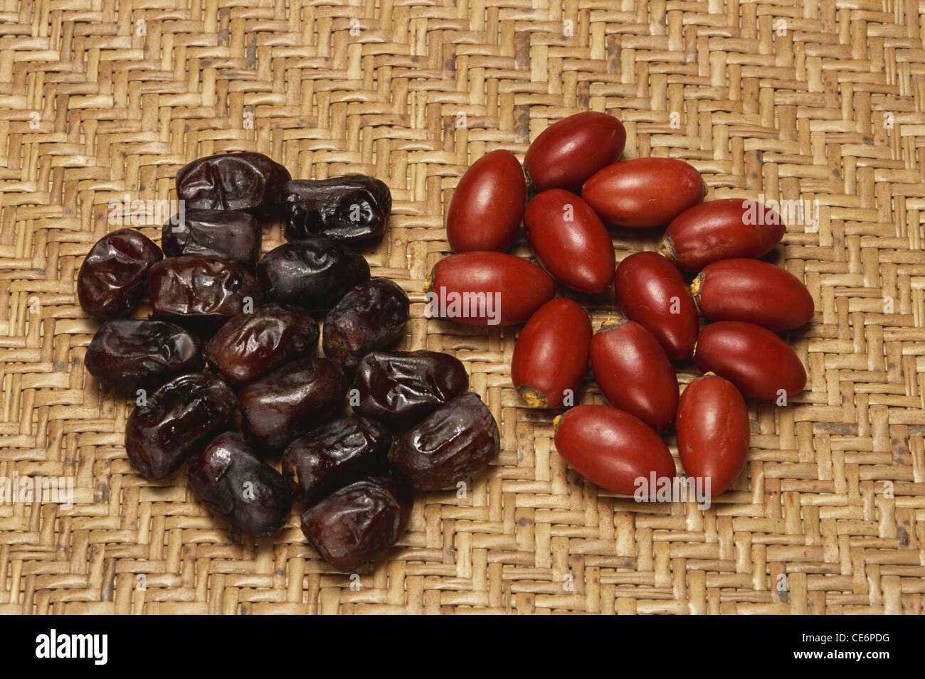 Dates fresh and dry dried Khajur Phoenix Sylvestris Roxb Stock Photo ...