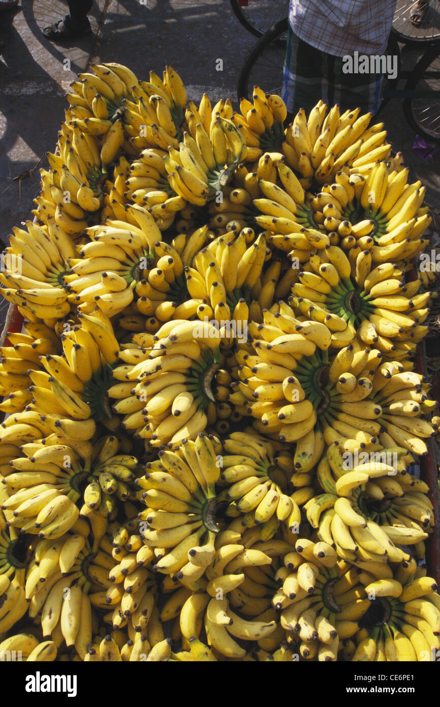 Indian ripe bananas elayachi breed india Stock Photo - Alamy