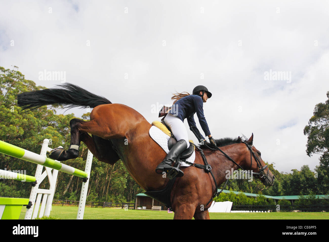 Horseback Rider Jumps over the Hurdle Stock Photo - Alamy