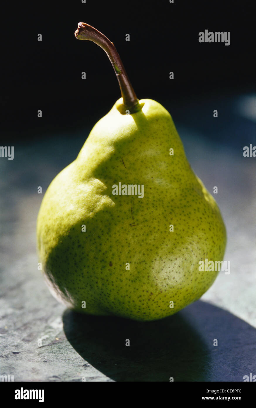 Pear fruit ; one green fruit pear ; india ; asia Stock Photo - Alamy