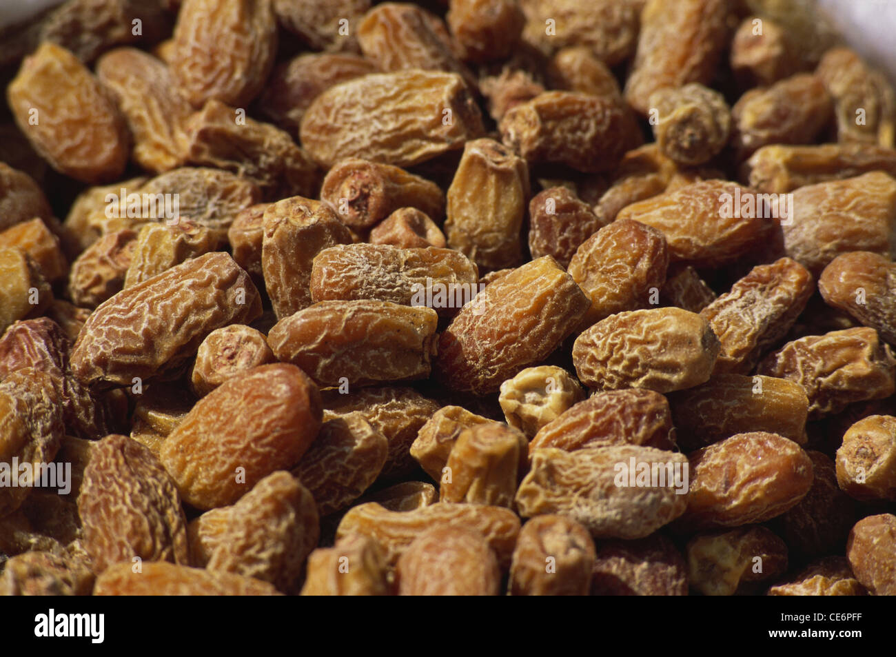 Dried dates ; dry fruit ; india ; asia Stock Photo - Alamy