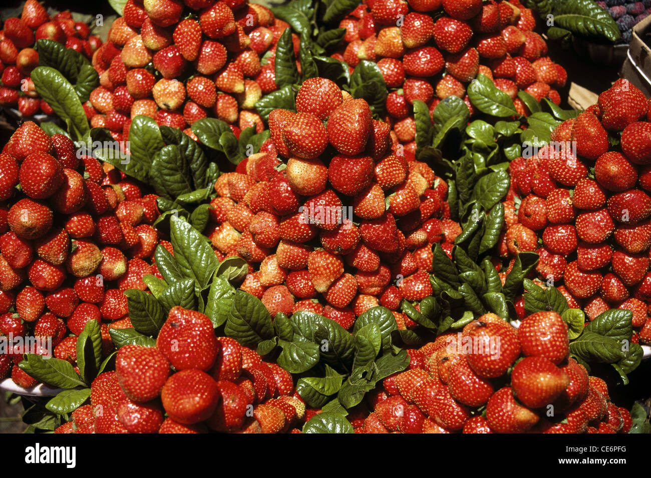 Strawberries strawberry fruit display for sale Stock Photo - Alamy