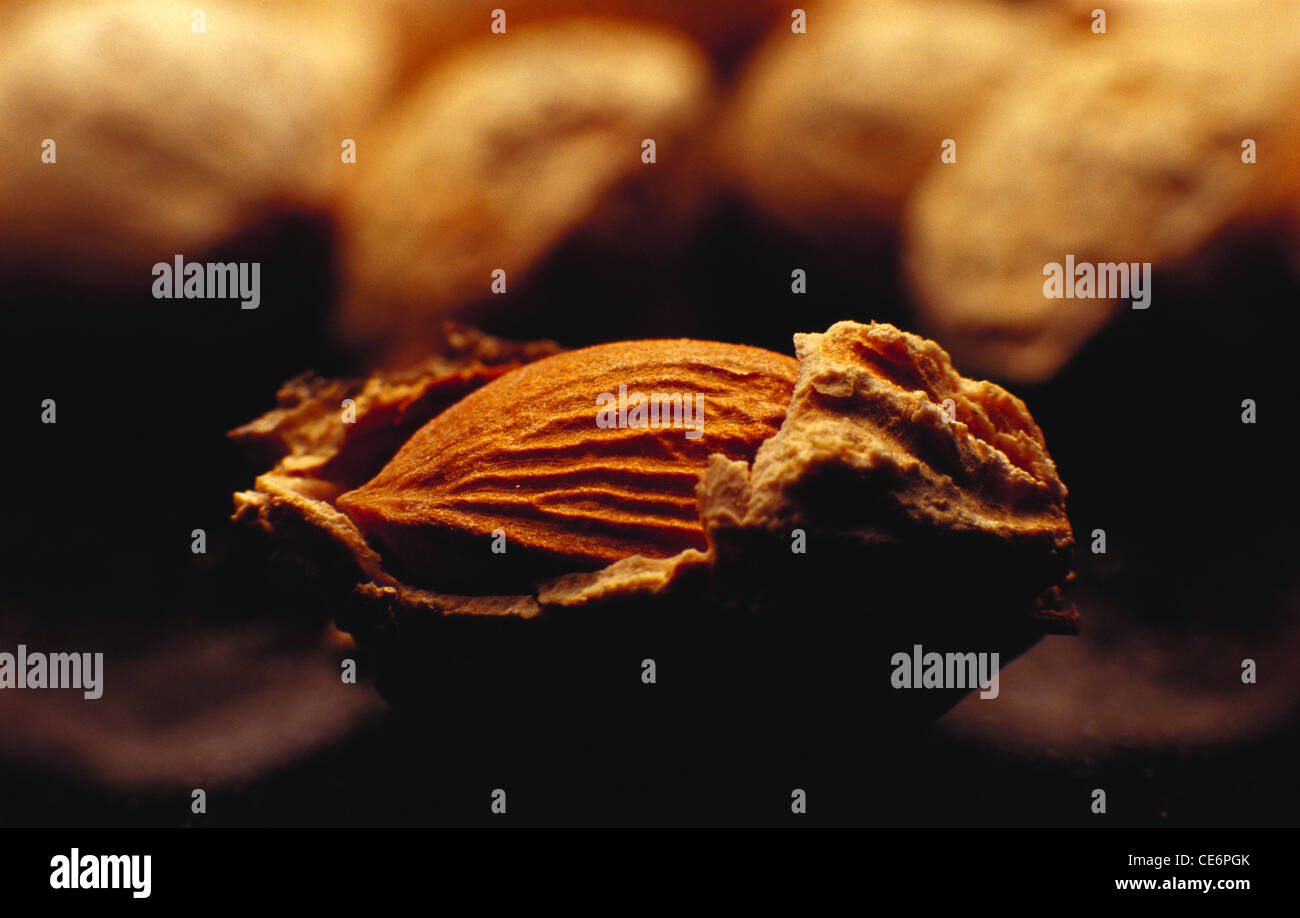 Almond with broken shell ; Almond unshelled ; Almond dry fruit with ...