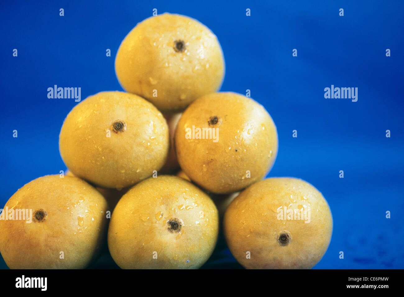 six Alphonso Mangoes tabletop in triangle shape Stock Photo - Alamy