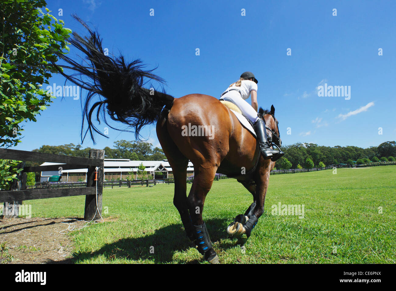 Professional horseback riding hi-res stock photography and images - Alamy