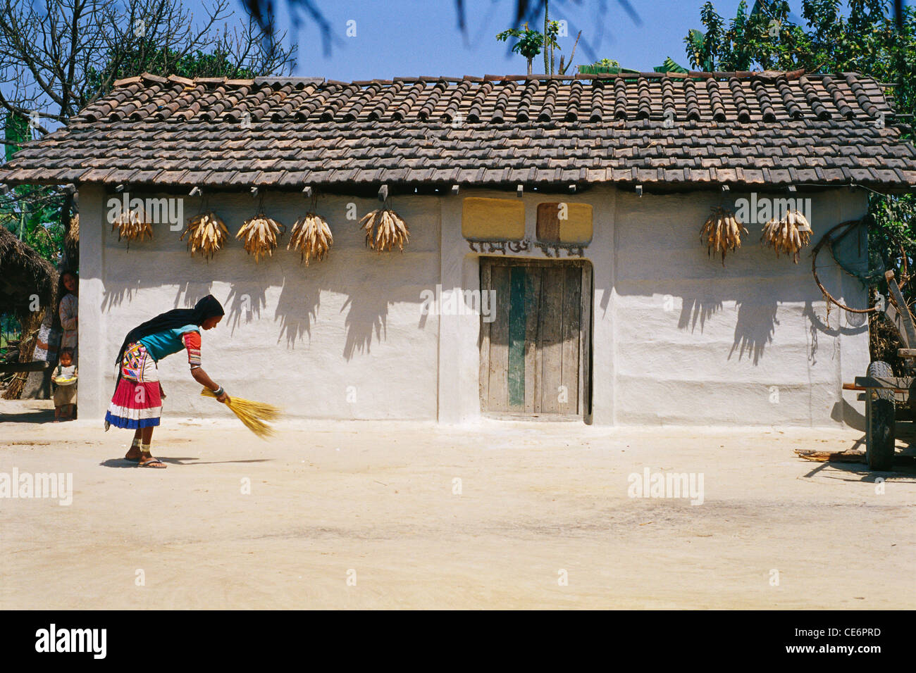 Indian Tharu tribe woman sweeping with broom in front of her village ...