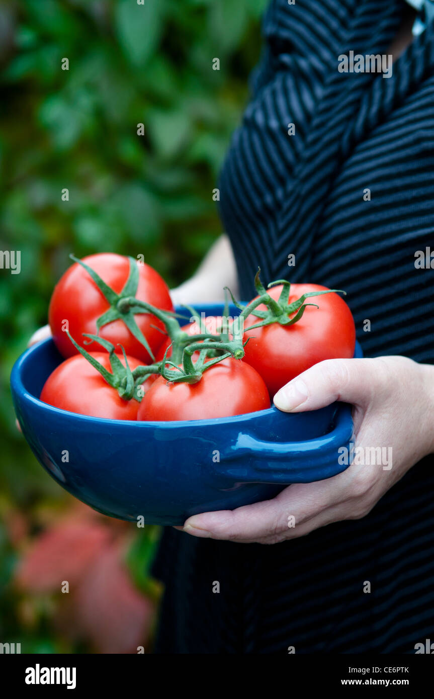 Blue tomatoes hi-res stock photography and images - Alamy