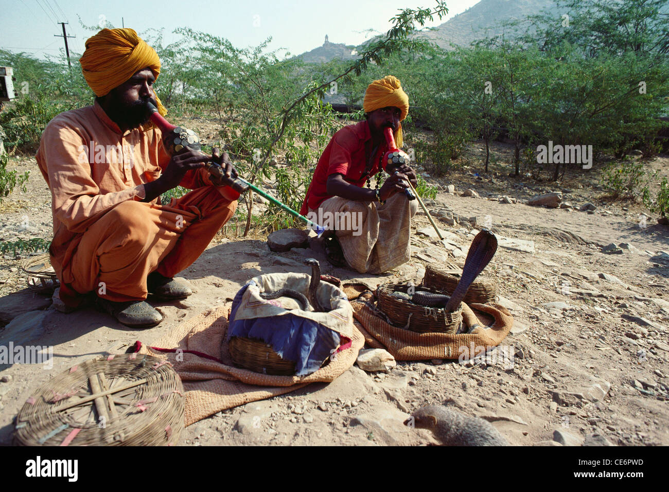 Snake charming by two Indian snake charmers playing wind musical ...
