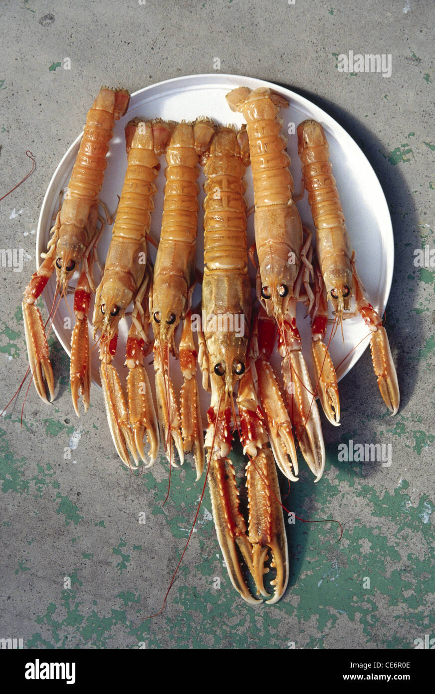 Dead plate hi-res stock photography and images - Alamy