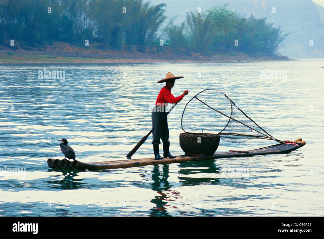 Chinese fishing by cormorant bird on fishing boat ; Bulin ; Buangxi ...