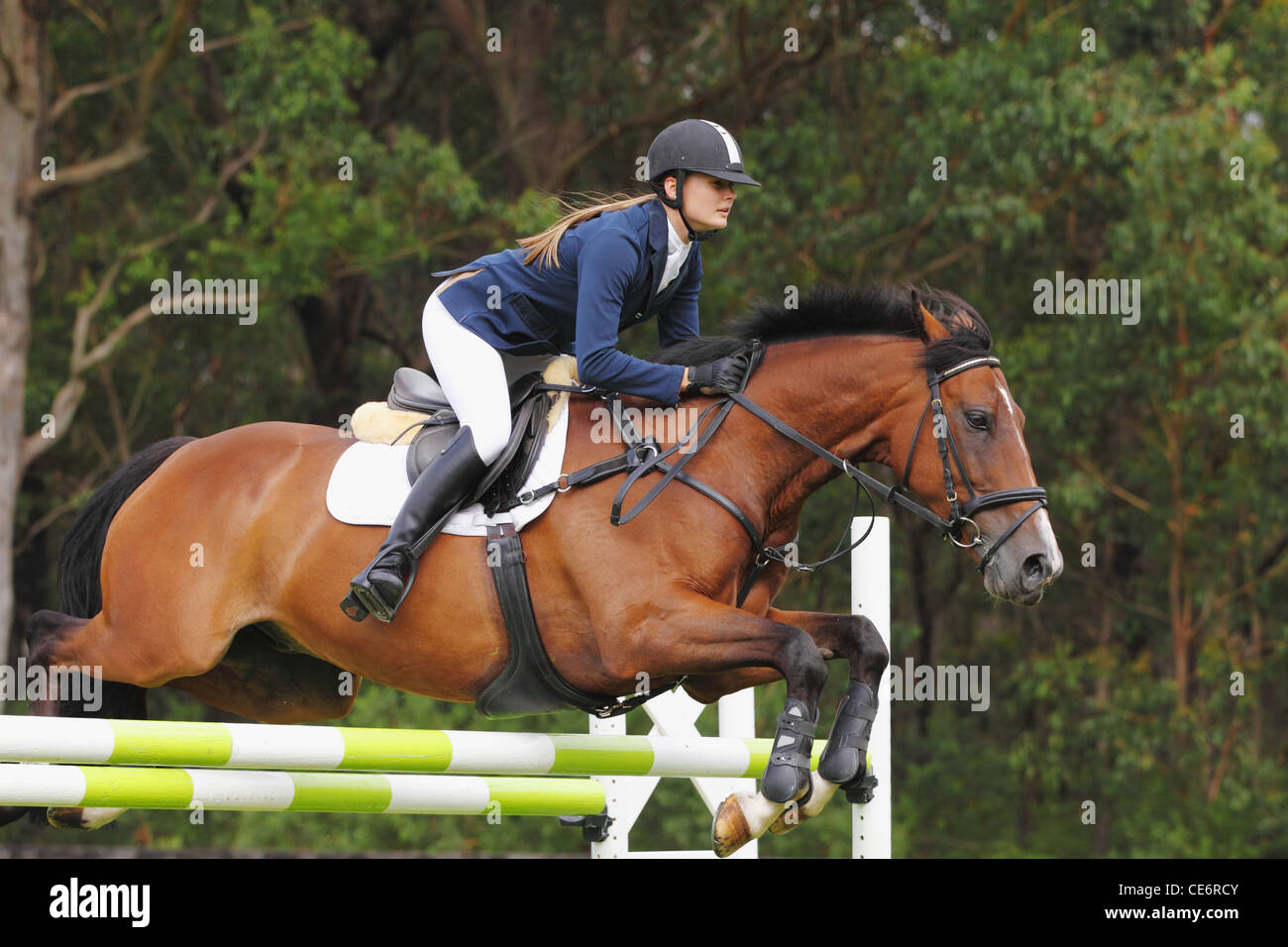 Young Woman Horseback Rider Jumping Fence Stock Photo - Alamy